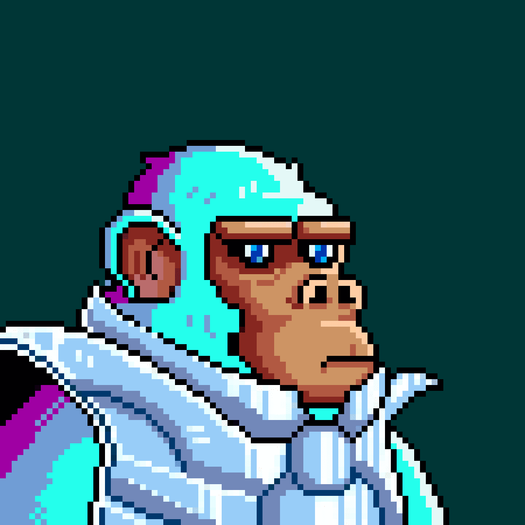 Space Monkeys #1720 - Space Monkeys NFT | LooksRare